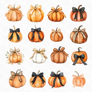 68 Coquette Pumpkin Png, Bow Pumpkin Sublimation, Cute Pumpkin Bundle ...