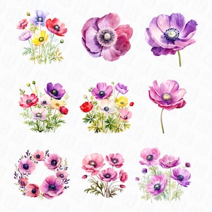 Watercolor Anemone Flower Png - Flower Illustration, Flowers Clipart ...
