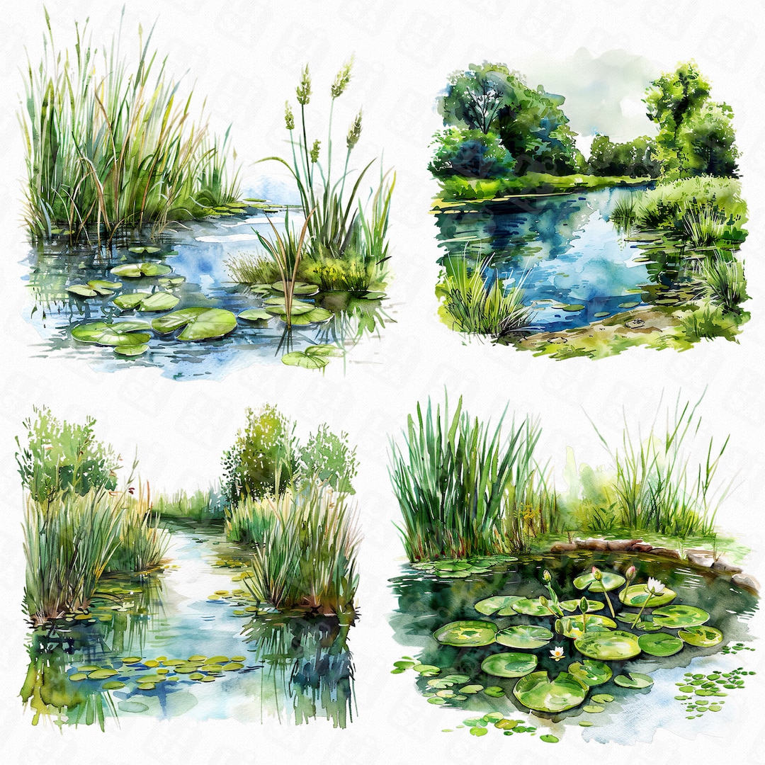 Watercolor Summer Pond Png, Summer Png, Summer Clipart, Watercolor ...