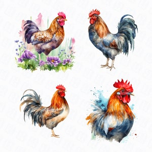 Watercolor Chicken Farm Png - Rooster Clipart, Farm Animals, Baby Chick ...