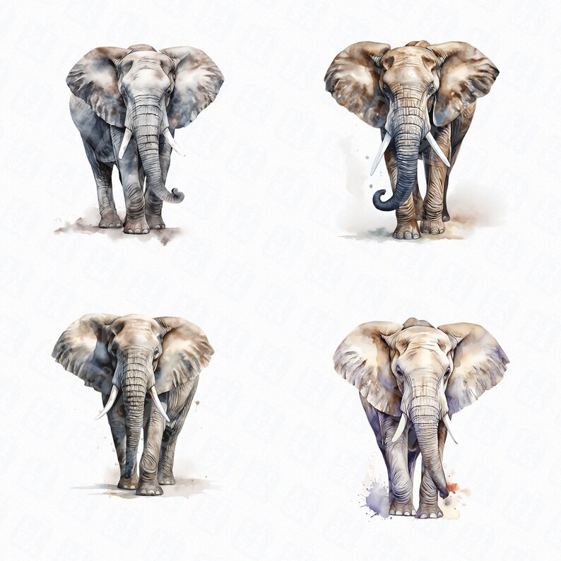 Watercolor Elephant Clipart African Animal Elephant Print - Etsy