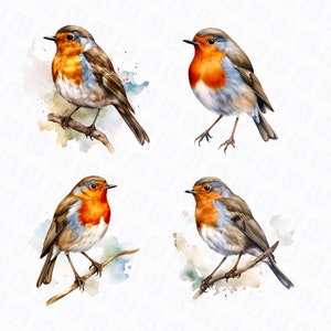 Watercolor Robin Png - Watercolor Bird Clipart, Collage Images, Garden ...