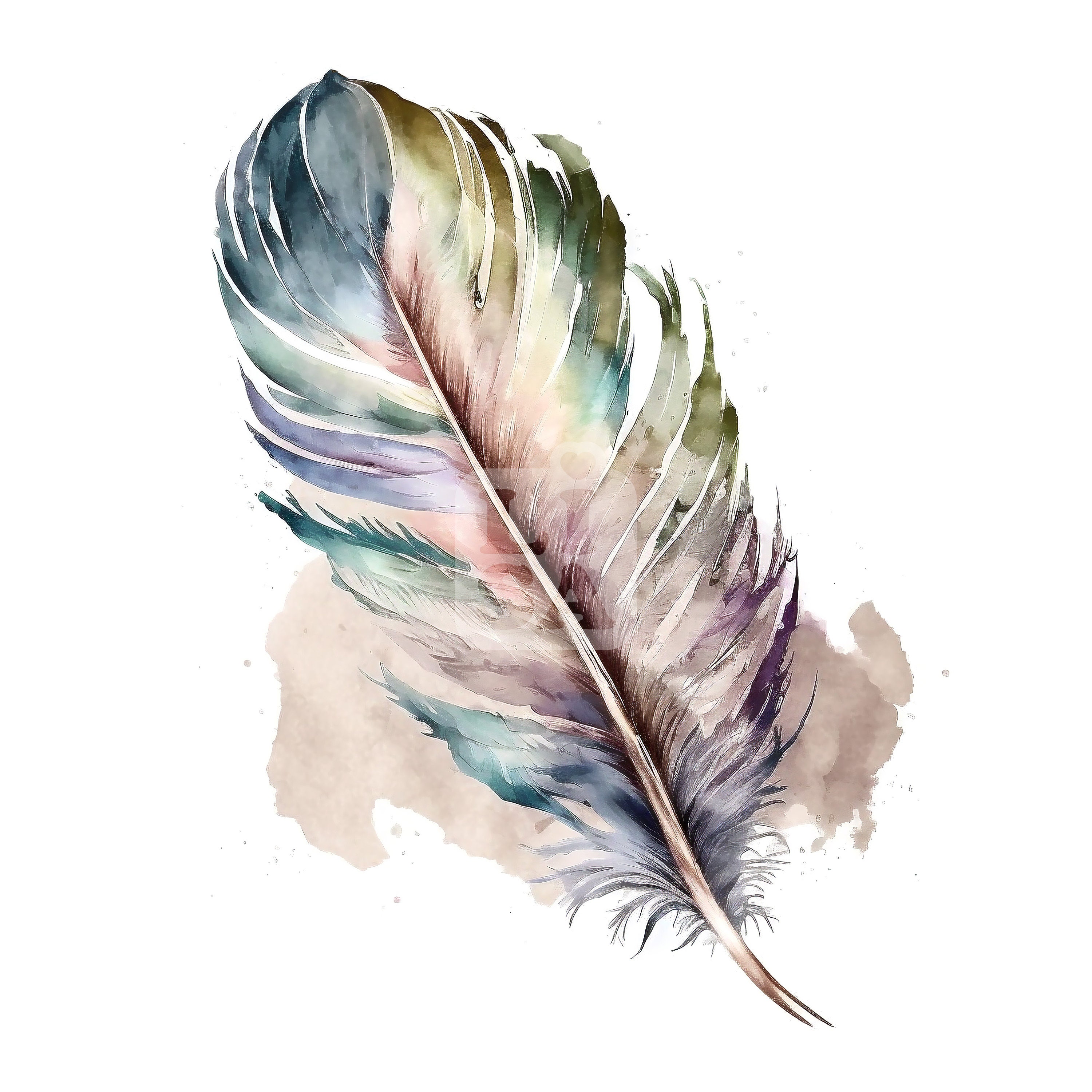 Watercolor Feather Clipart & Image Files Instant Download - Etsy