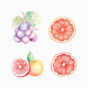 Watercolor Pastel Fruit Png - Nursery Clipart - Nursery Fruits, Soft ...