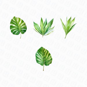 Watercolor Tropical Leaves Clipart - Tropical Clipart - Jungle Leaves ...
