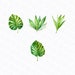 Watercolor Tropical Leaves Clipart Tropical Clipart Jungle Leaves ...