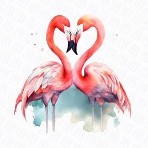 21 Watercolor Flamingo Png Craft Making Clipart - Tropical Birds Images ...