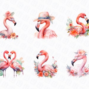 21 Watercolor Flamingo Png Craft Making Clipart - Tropical Birds Images ...