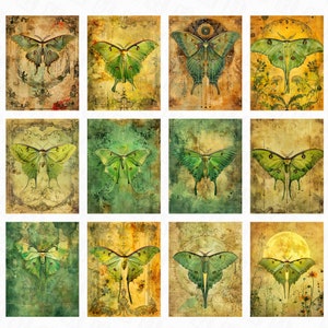 39 Luna Moths Digital Paper - Luna Moth Printable 8.5x11 Inch A4 Paper ...