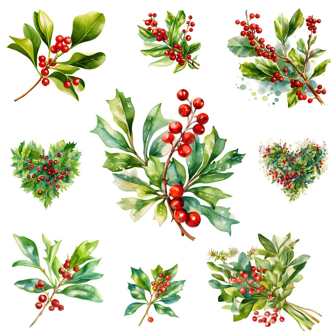Watercolor Mistletoe Clipart - Christmas Clipart - Digital Download ...
