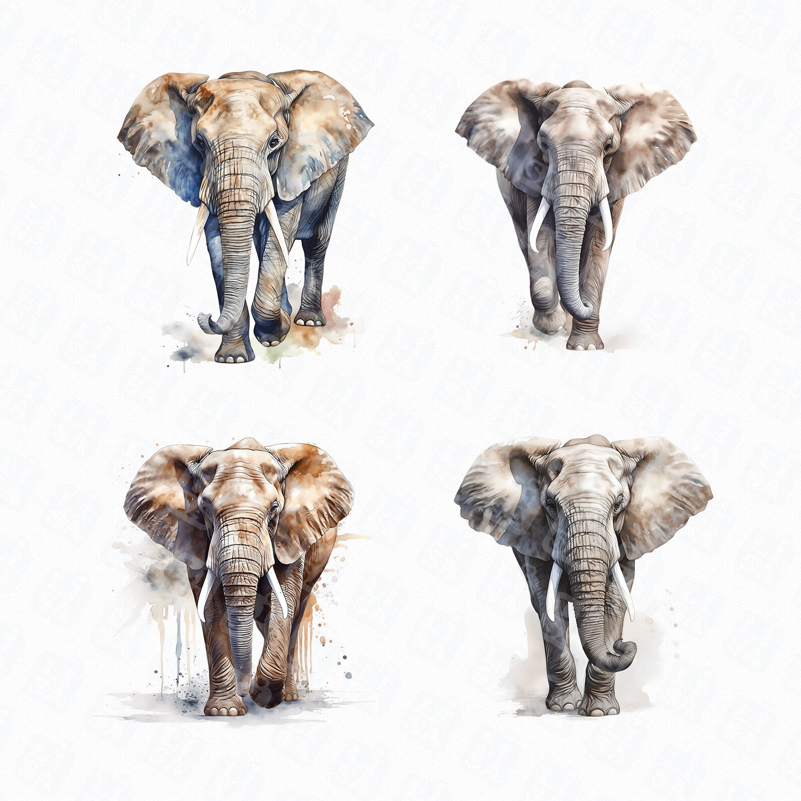 Watercolor Elephant Clipart African Animal Elephant Print - Etsy