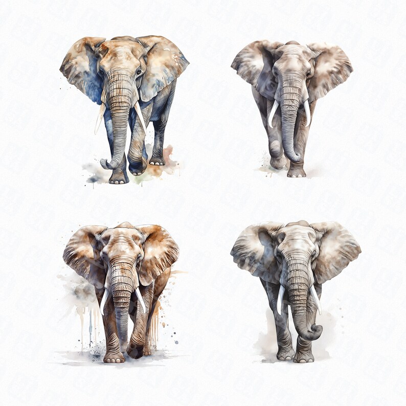 Watercolor Elephant Clipart African Animal Elephant Print - Etsy
