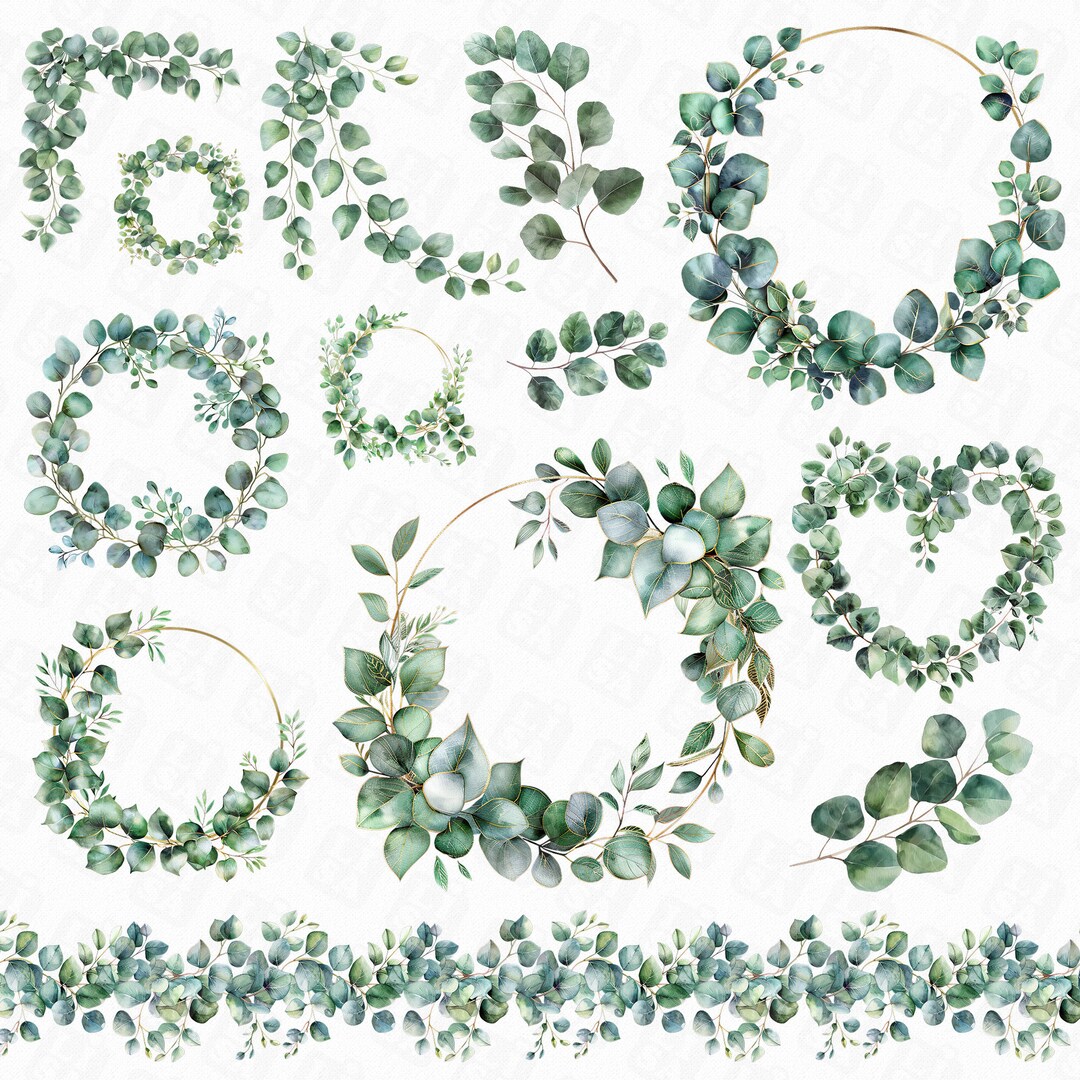58 Watercolor Eucalyptus Clipart, Watercolor Greenery Clipart ...