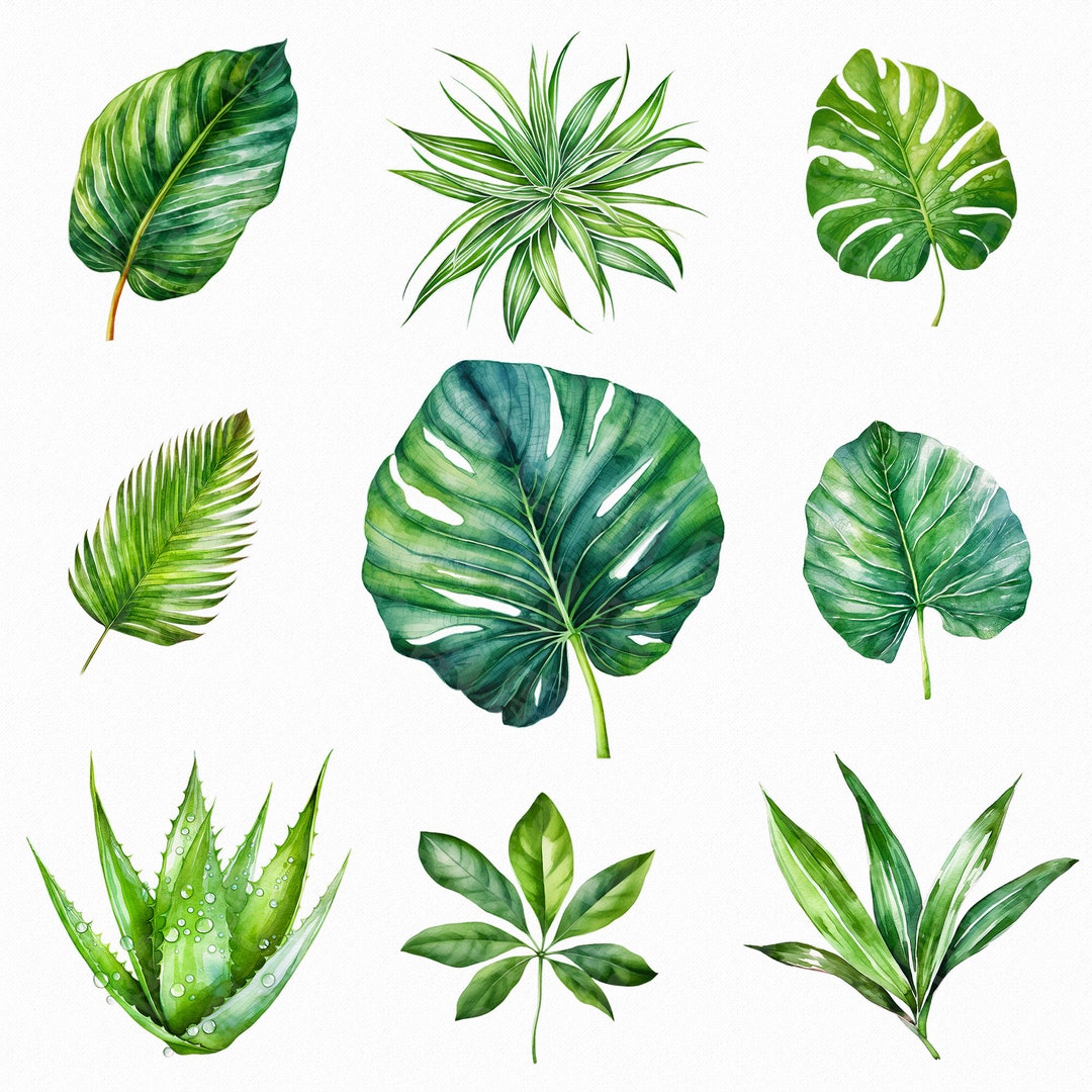 Watercolor Tropical Leaves Clipart - Tropical Clipart - Jungle Leaves ...
