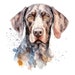 4 Watercolor German Pointer Clipart. German Shorthaired PNG. Instant ...