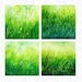 Grass Digital Paper Digital Background Grass Background, Green Grass ...
