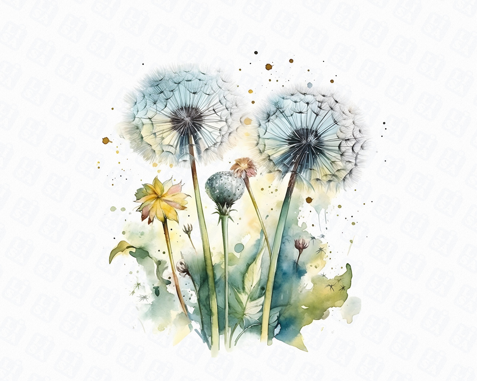 18 Watercolor Dandelion Clipart Spring Wildflowers Images - Etsy
