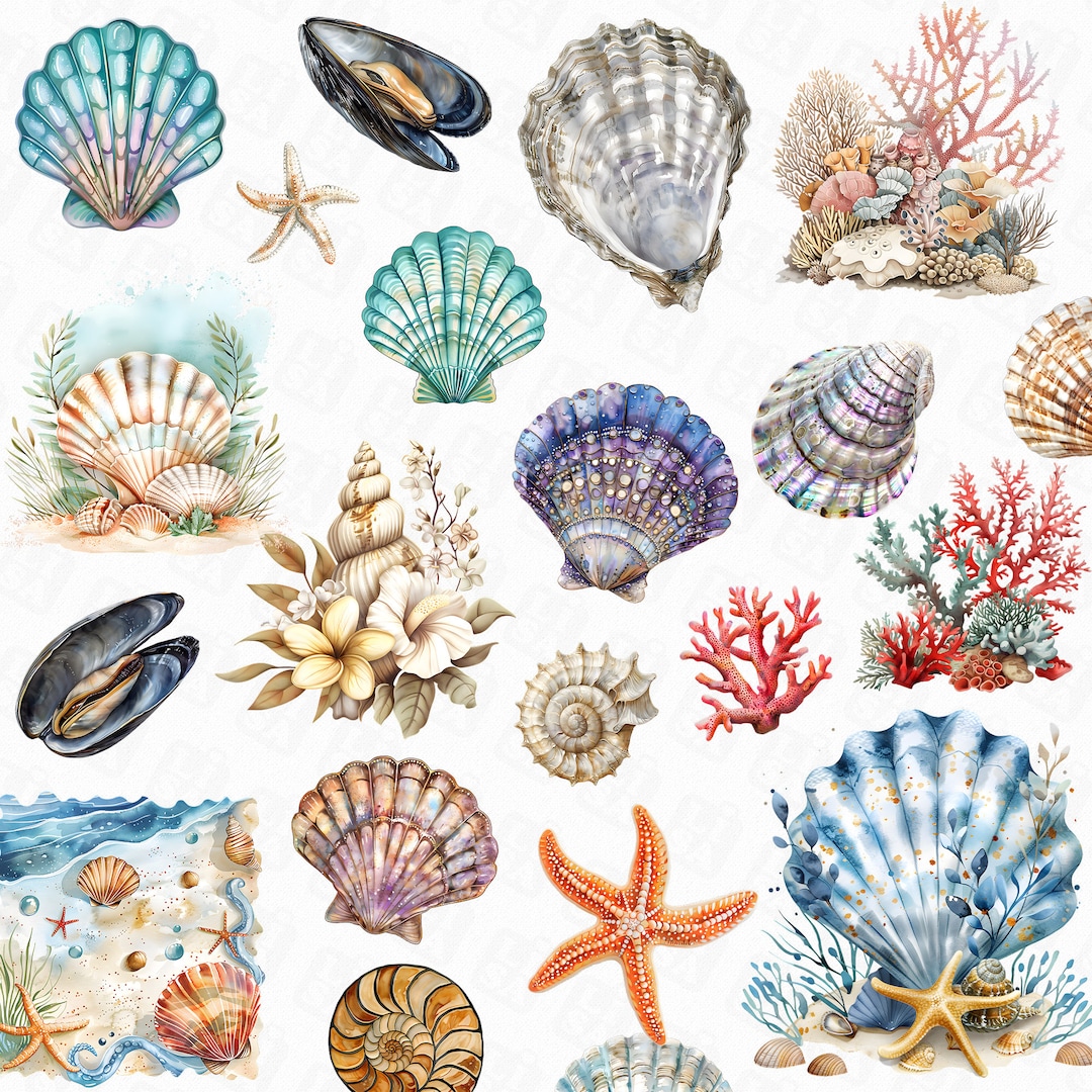 128 Seashell Clipart, Nautical Seashell Png Bundle, Ocean Clipart, Sea ...