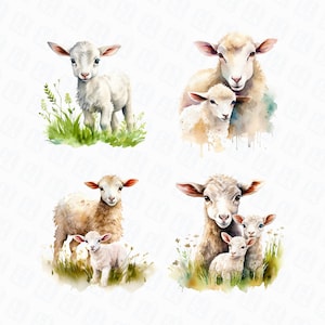 Cute Lamb Clipart Collection - Cute Sheep Clip Art - Farmhouse Images ...