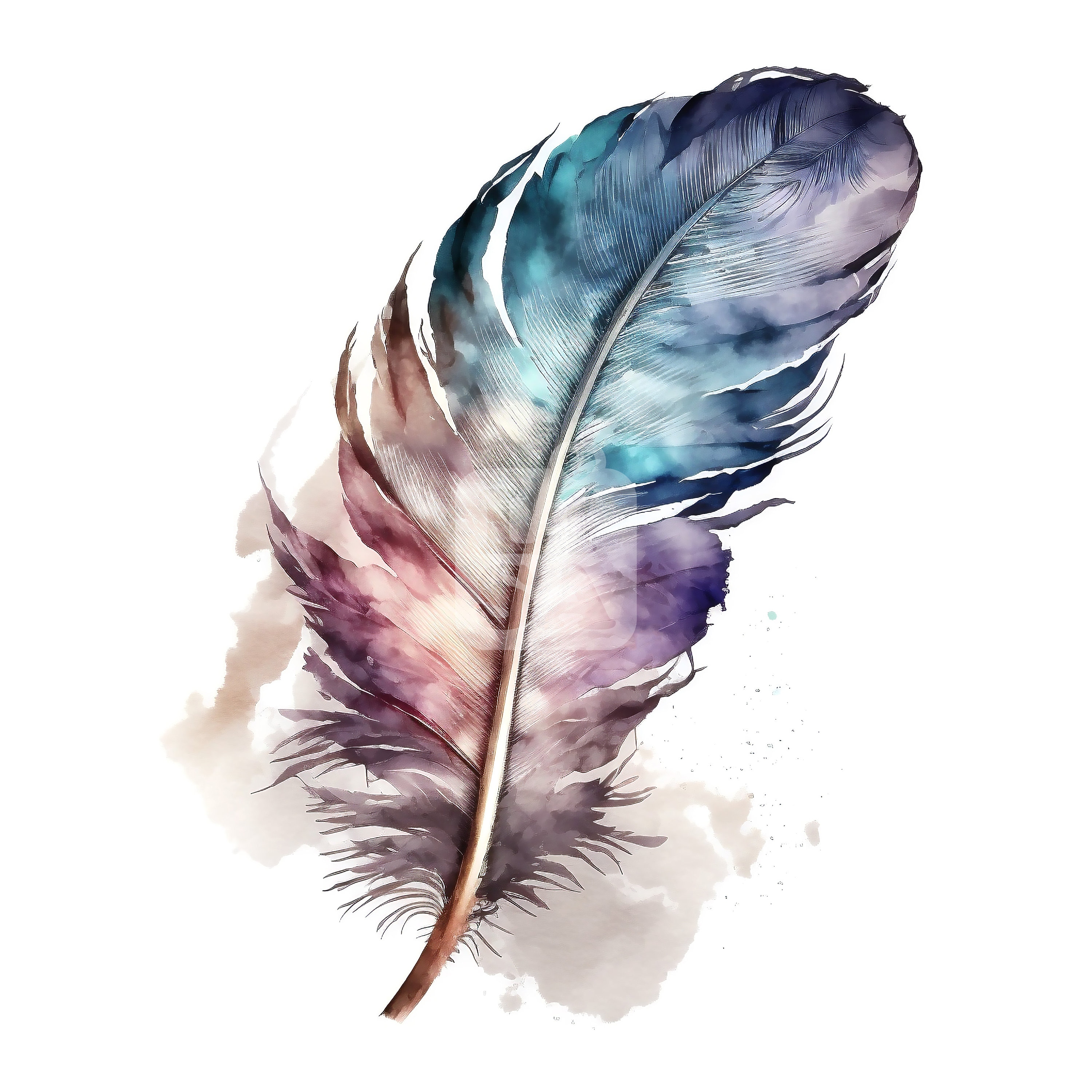 Watercolor Feather Clipart & Image Files Instant Download - Etsy