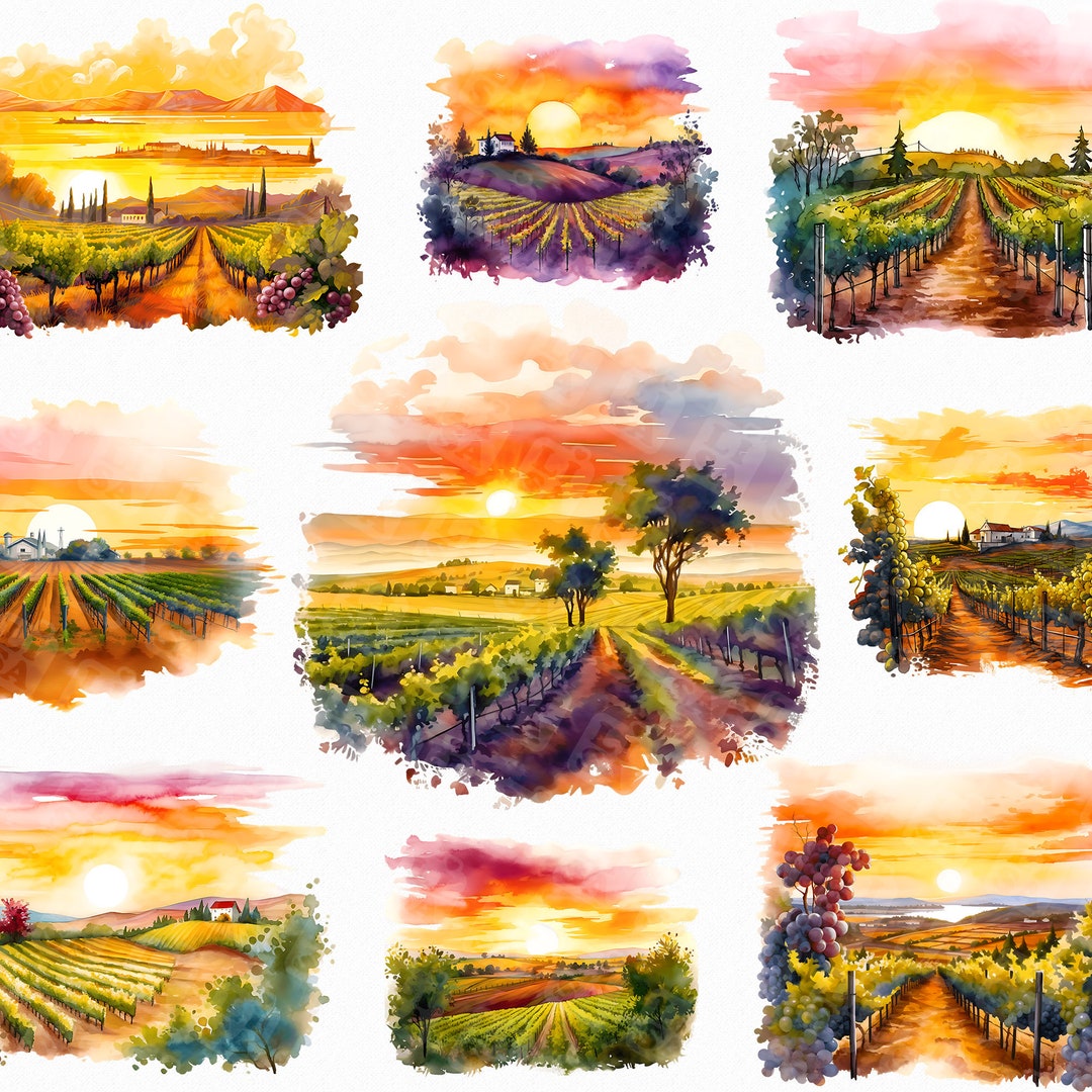 Watercolor Vineyard Png - Wine Fields, Wine Landscape, Grape Vine ...