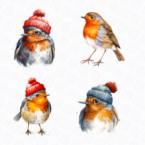 Watercolor Robin Png - Watercolor Bird Clipart, Collage Images, Garden ...