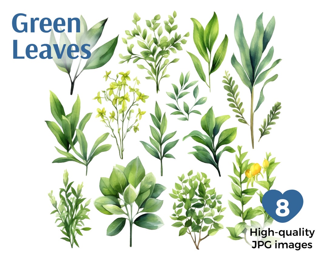 Watercolor Green Leaves Clipart, 8 High Quality Jpgs, Green Leaves Wall ...