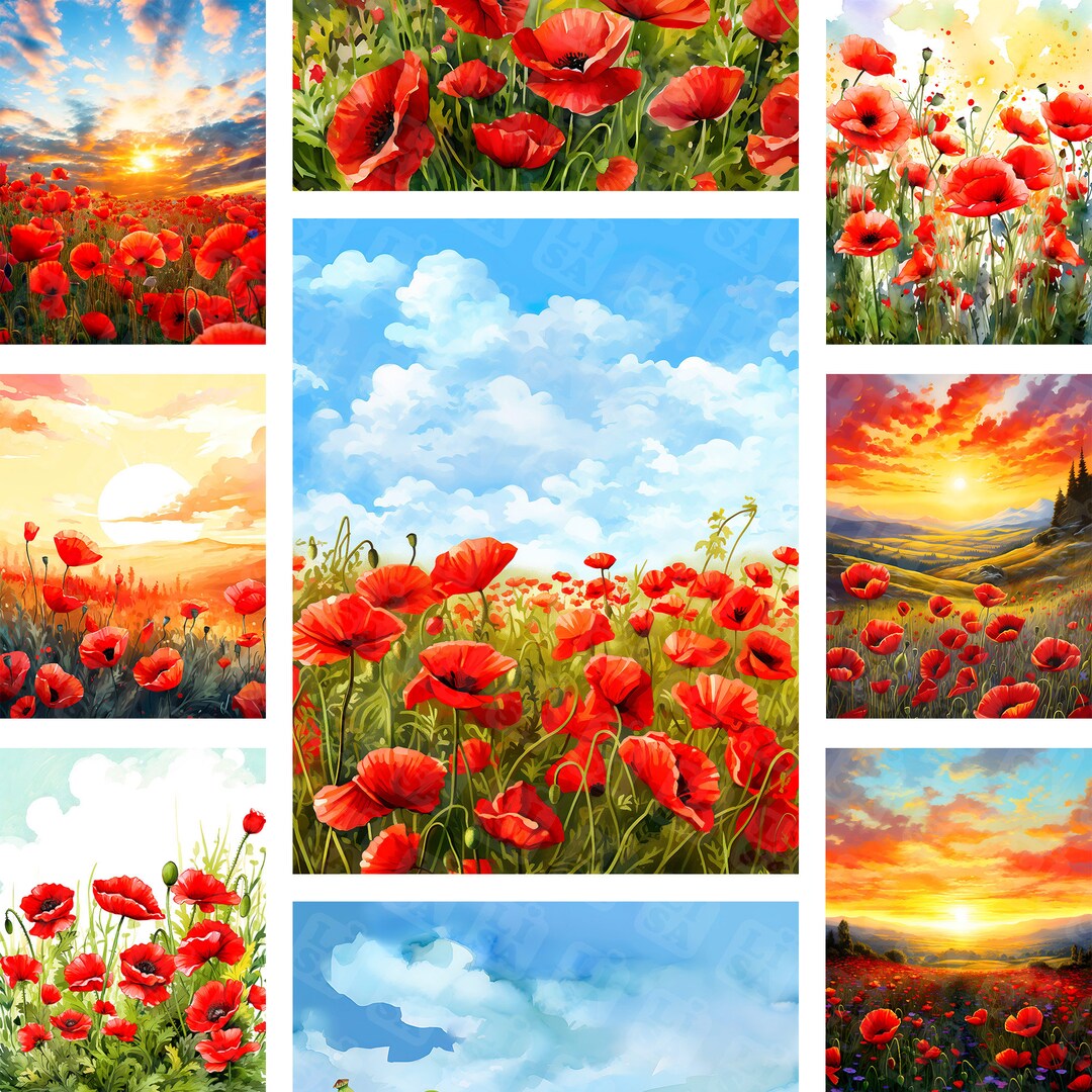Watercolor Poppy Field Digital Paper, Poppy Painting, Poppy Print ...