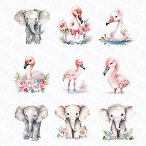 Cute Safari Baby Shower Clipart - Baby Safari Animals High-quality ...