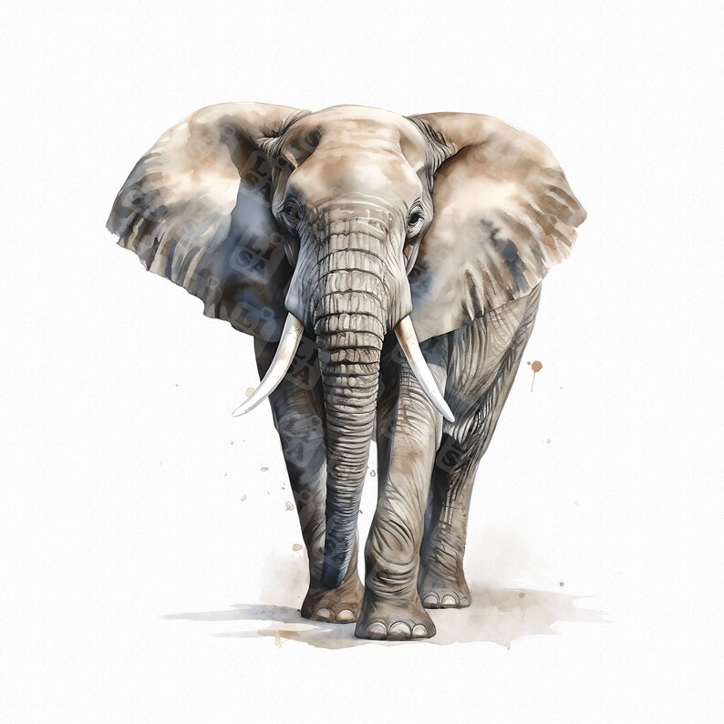 Watercolor Elephant Clipart African Animal Elephant Print - Etsy