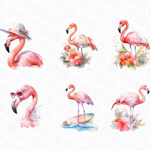 21 Watercolor Flamingo Png Craft Making Clipart - Tropical Birds Images ...