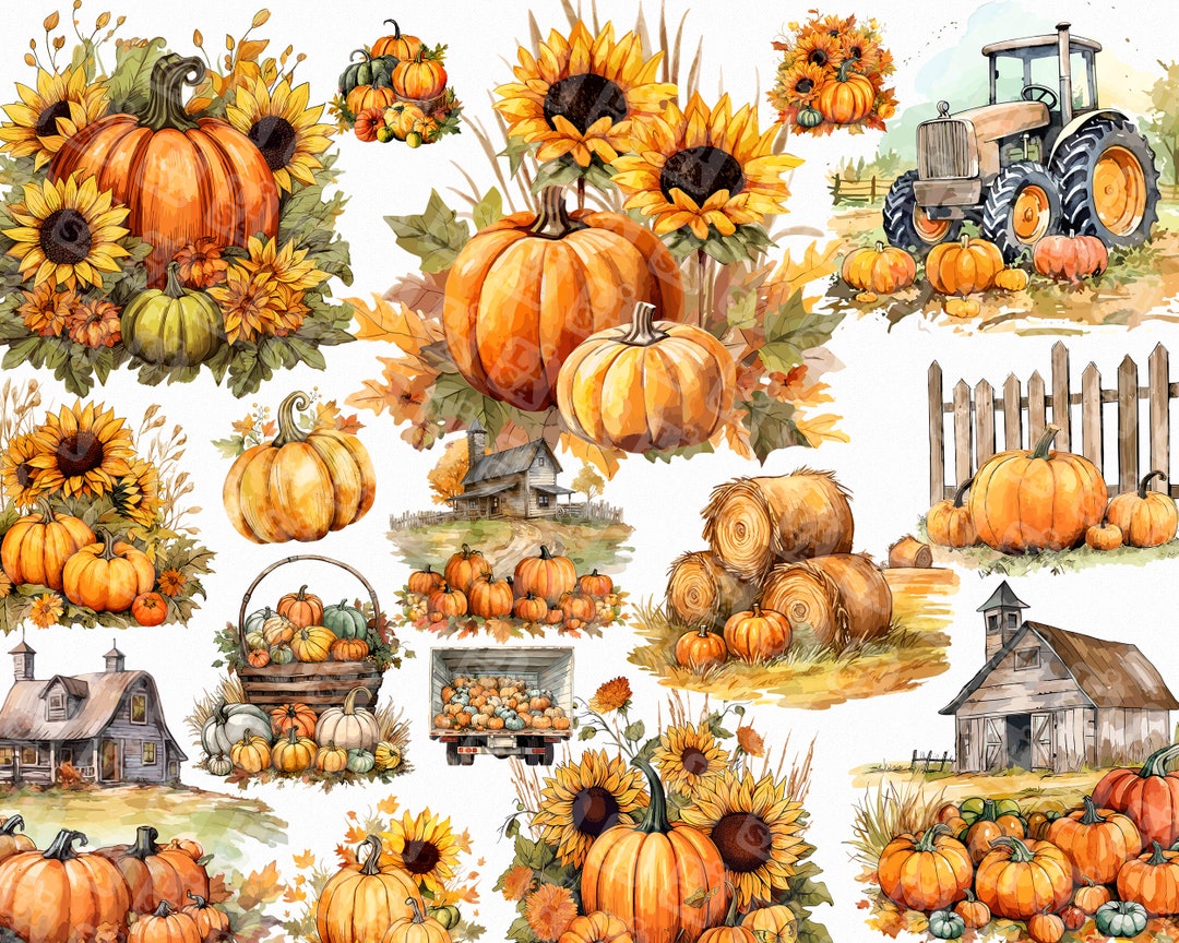 23 Watercolor Pumpkin Harvest Png. Autumn Farm Sunflowers Pumpkin ...