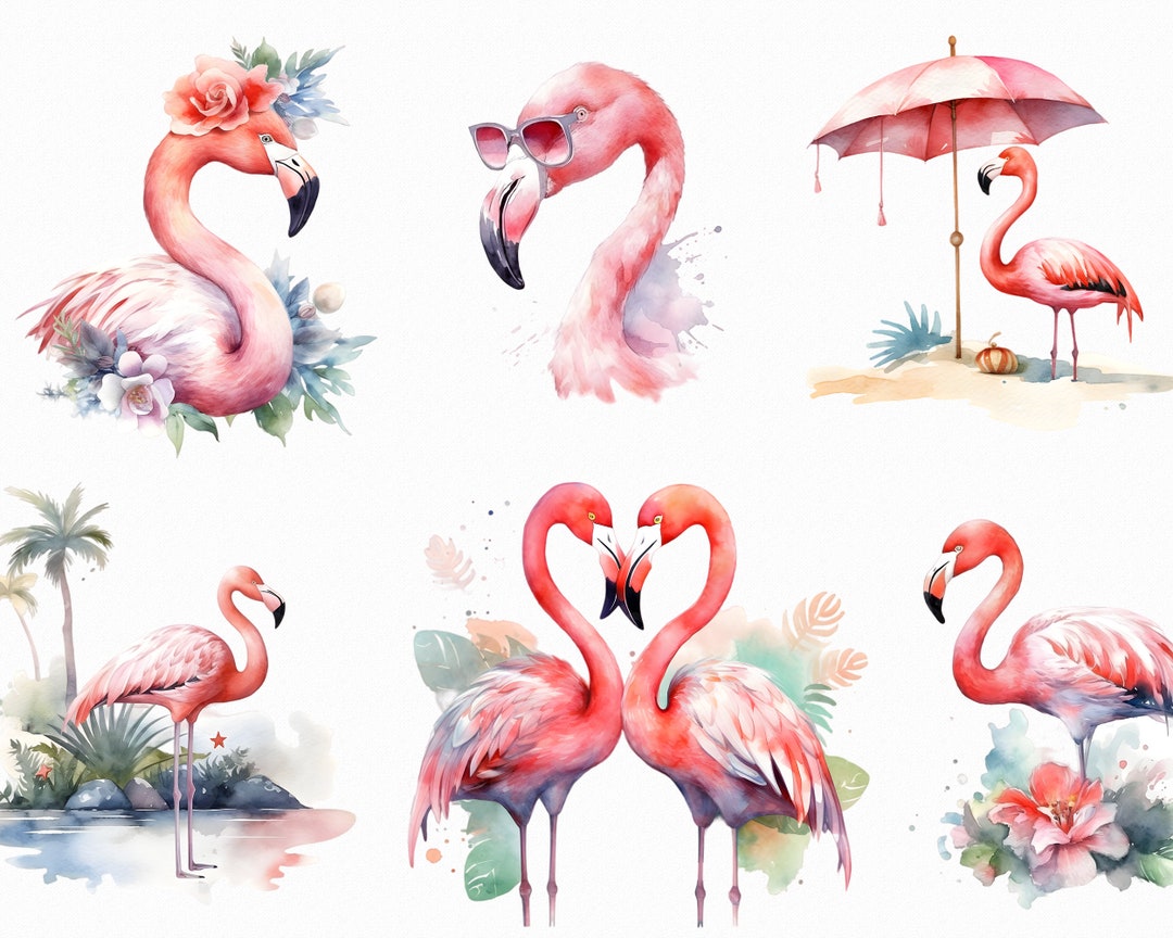 41 Watercolor Flamingo Png Craft Making Clipart - Tropical Birds Images ...