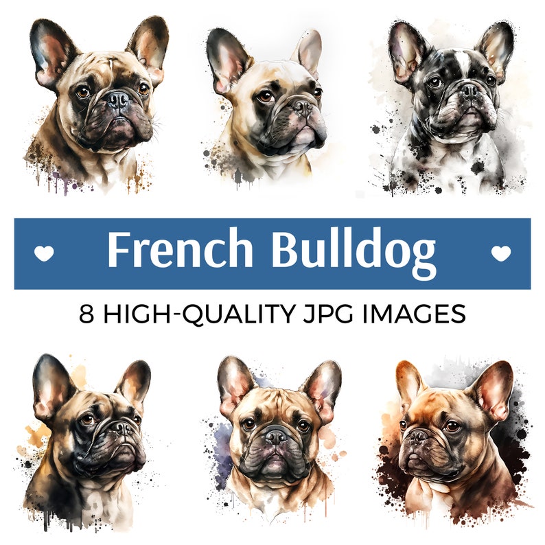 French Bulldog Clipart Digital French Bulldog Clipart & Image - Etsy