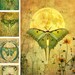 39 Luna Moths Digital Paper - Luna Moth Printable 8.5x11 Inch A4 Paper ...