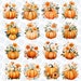 16 Floral Pumpkin Png Cute Boho Pumpkin Fall Sublimation - Etsy