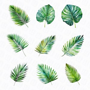 Watercolor Tropical Leaves Clipart - Tropical Clipart - Jungle Leaves ...