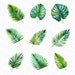 Watercolor Tropical Leaves Clipart Tropical Clipart Jungle Leaves ...