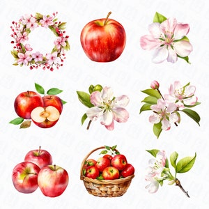 Watercolor Apple Garden Png - Apple Clipart, Apple Invitation, Apple ...