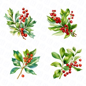Watercolor Mistletoe Clipart - Christmas Clipart - Digital Download ...