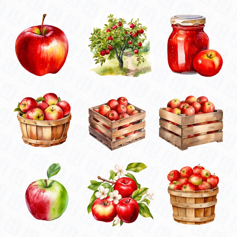 Watercolor Apple Garden Png Apple Clipart Apple Invitation - Etsy