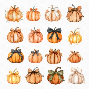68 Coquette Pumpkin Png, Bow Pumpkin Sublimation, Cute Pumpkin Bundle ...