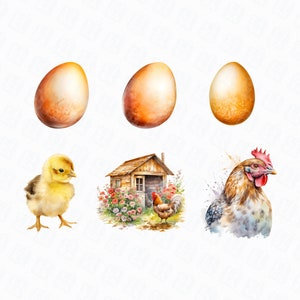 Watercolor Chicken Farm Png - Rooster Clipart, Farm Animals, Baby Chick ...