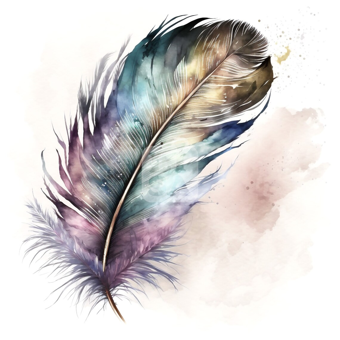 Watercolor Feather Clipart & Image Files Instant Download - Etsy