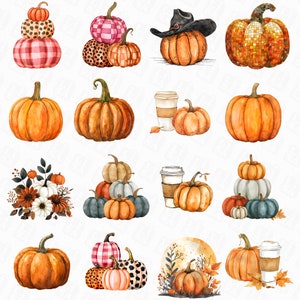 85 Pumpkin Clipart, Floral Pumpkin Png, Cute Pumpkin Bundle, Pumpkin ...