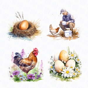 Watercolor Chicken Farm Png - Rooster Clipart, Farm Animals, Baby Chick ...