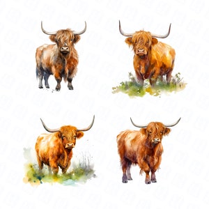 Watercolor Highland Cow Clipart - Cow With Hat, Flowers, Bow - Digital ...