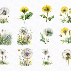 37 Watercolor Dandelion Print - Spring Wildflowers Images Scrapbooking ...