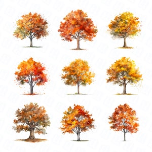 Watercolor Autumn Tree Clipart - Autumn Printable, Watercolor Tree ...