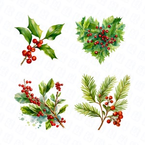 Watercolor Mistletoe Clipart - Christmas Clipart - Digital Download ...